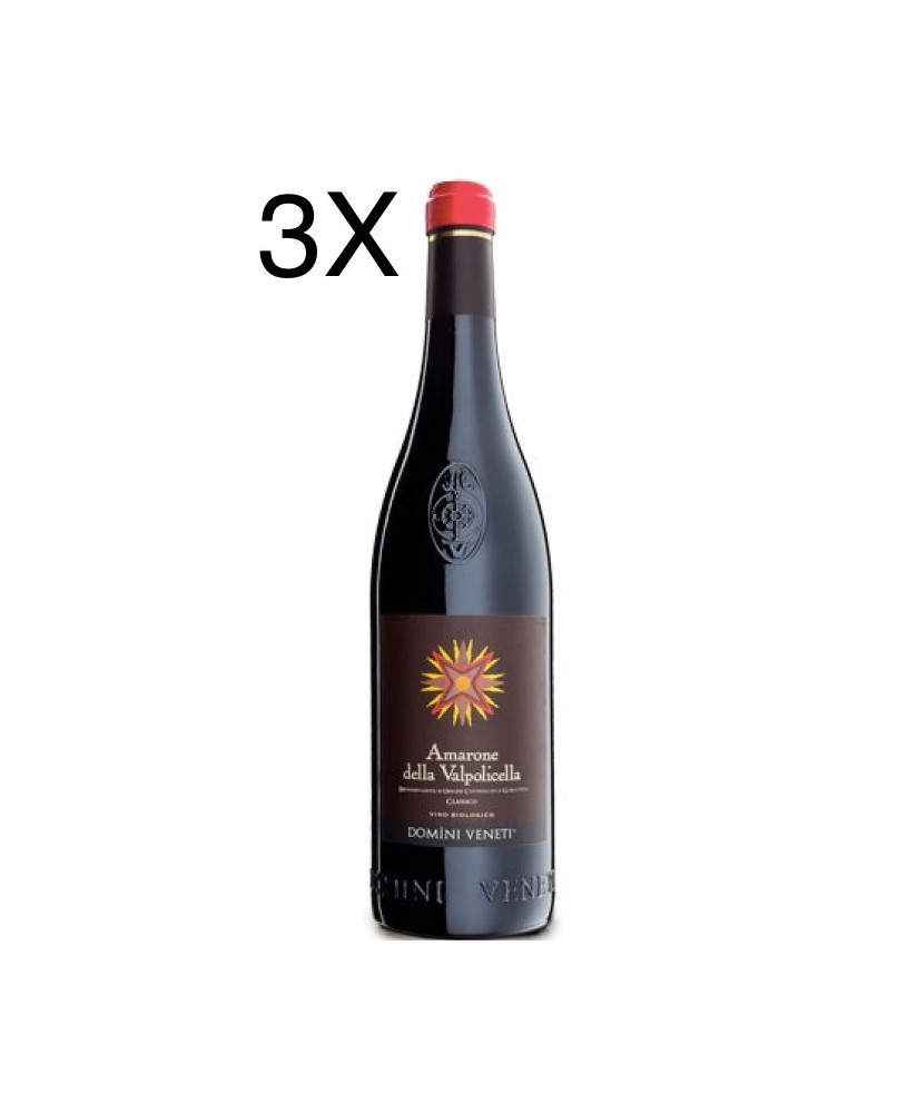 Domini Veneti Amarone Organic winery shop online red wine | corso101